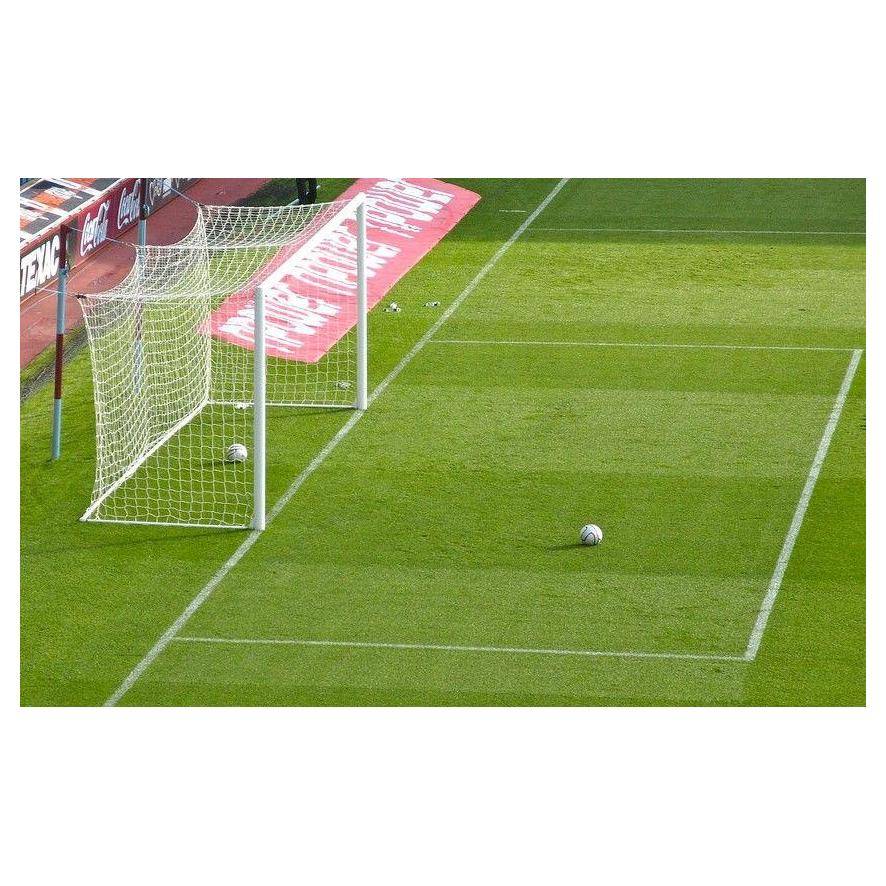 Filet Foot à 11 Européen PP tressé 4mm Classic 120mm série L Powershot ...